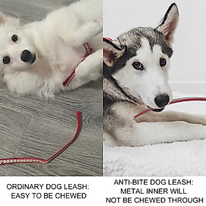 voopet Chew-Proof Dog Leash Extension Works with Any Leash & Collar & Harness - Super Strong and Durable Non-Tangle Connect Leash (Multiple leashes are Used for Multiple Dogs) Red