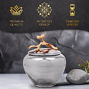 Decozen Qtip Holder and Cotton Jar with Lid - Elegant Glass and Metal Organizer for Decorative Kitchen Home Decor Bath Accessories Countertop Bedroom Glass Jar Lid Organizer - The Milli Collection