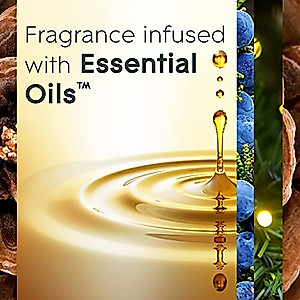 Glade Automatic Spray Refill, Air Freshener for Home and Bathroom, Pine Wonderland, 6.2 Oz, 3 Count