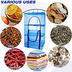 Cunno 4 Pcs Herb Drying Rack 4 Layer Hanging Drying Net Folding Fish Mesh with Zippers Non Toxic Nylon Netting for Fish Vegetables Meat Herb Fruit Plants Net Dry Cage, Blue, 13.8 x 13.8 x 25.6 Inch