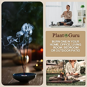 Japanese Cherry Blossom Exotic Incense Sticks 7 Inch - Bulk 1 Bundle 85 to 100 Sticks - Natural 7" Long Lasting Aroma That Burns for 30 to 45 Minutes.