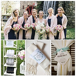 SWAT PANY Winter Scarfs for Women Pink Pashmina Shawls and Wraps for Women Wedding Shawl Wraps for Evening Dresses