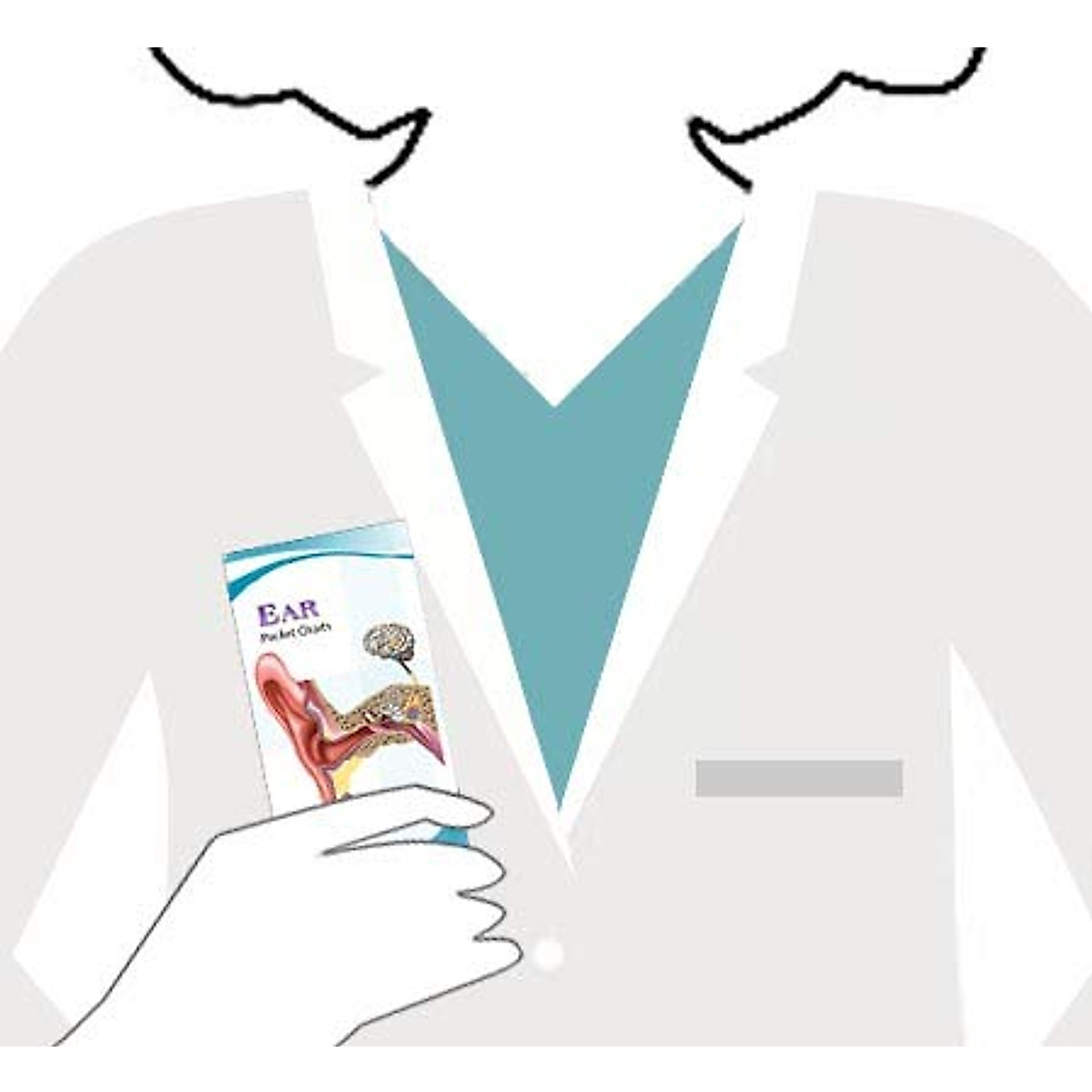 Blue Tree Publishing Ear Anatomy Pocket Charts