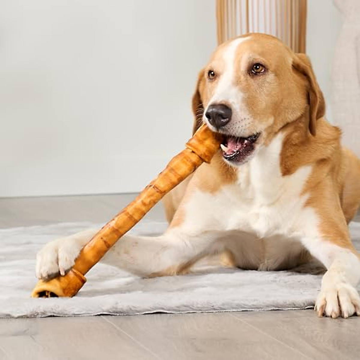 Treatly USA Beefhide Bones 15-17" Dog Chew Treats - Chicken Flavor, 1 Count/1 Pack