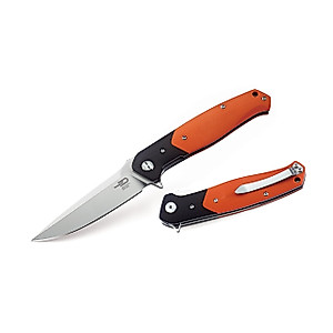 Bestech Knife BG03C Folder 3.8 in Plain and Orange G10Handle Hunting-Folding-Knives, Black