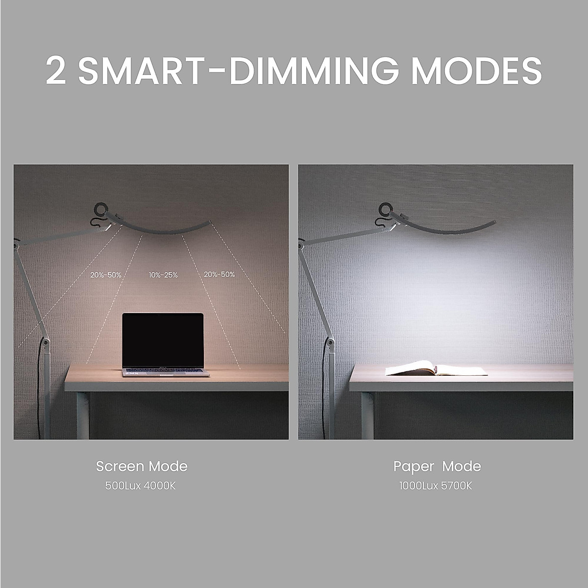 BenQ e-Reading LED Floor Lamp Warm/Cool White LED Floor Lamp, Silver, Model: AR15_D Floor Silver (New)