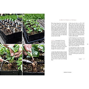 Floret Farm's Discovering Dahlias: A Guide to Growing and Arranging Magnificent Blooms (Floret Farms x Chronicle Books)