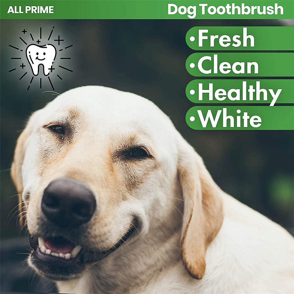 Teleyi Dog Toothbrush Kit,4-Piece Set with Toothpaste Fingerbrush,Cat Teeth Cleaning,Pet Oral Dental Care Fresh Breath Brush,Cute Puppy Whitening Cleansing for Small Large Dogs,Beef Flavor