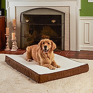 Happy Hounds Oscar Orthopedic Large (48 x 36 in.) Mocha Rectangle Pillow Style Dog Bed