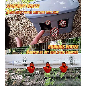 Hfarming Chicken Waterer Cups, Pack of 6 Chicken Waterer PVC Tee Fittings, with 1/8 Inch FTP Threads, Automatic Chicken Waterer for Chicken Ducks Quail Bird