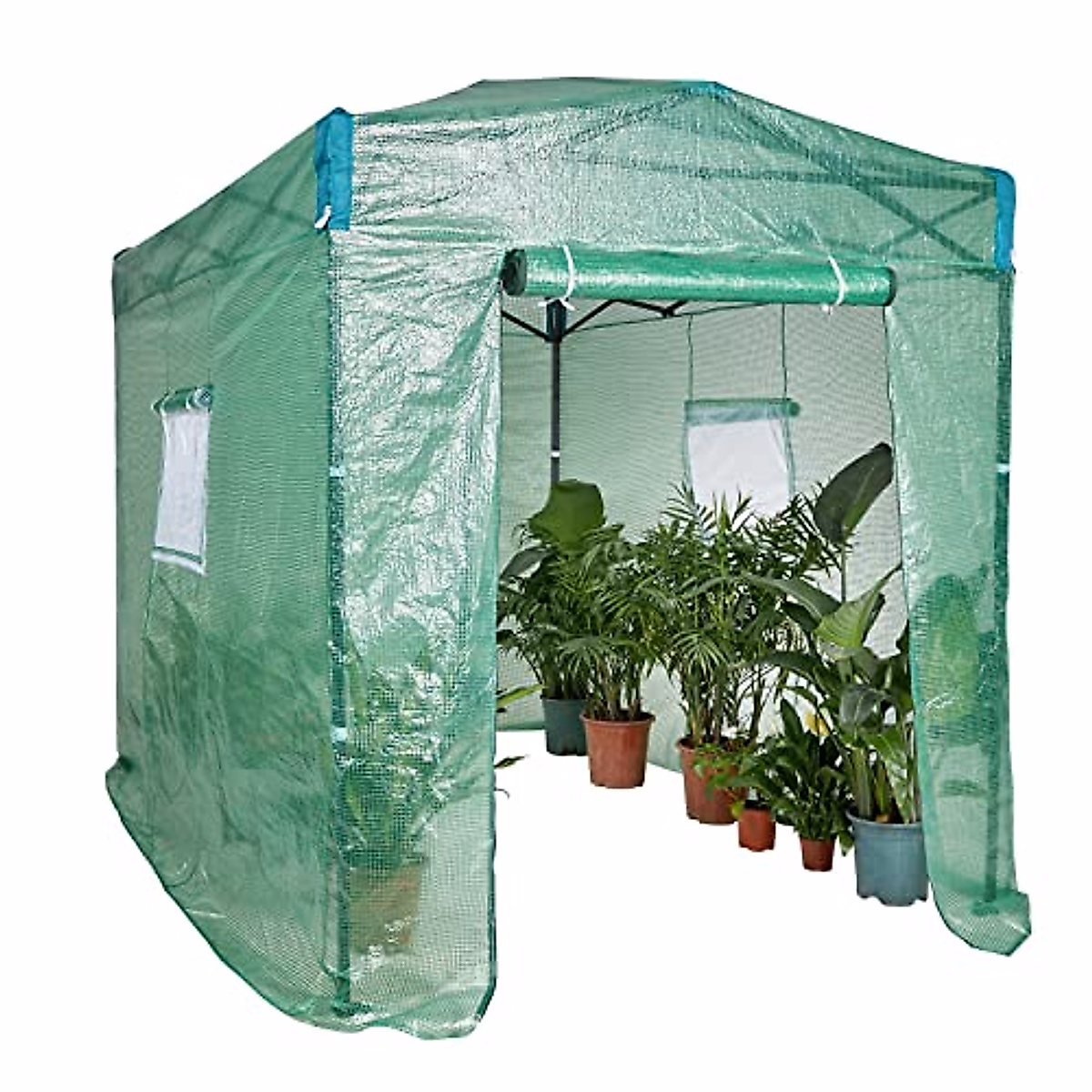 VEVOR Pop Up Greenhouse, 8 x 6 x 7.5 ft Pop-up Green House, Set Up in Minutes, High Strength PE Cover with Doors & Windows and Powder-Coated Steel Frame, Suitable for Planting and Storage, Green