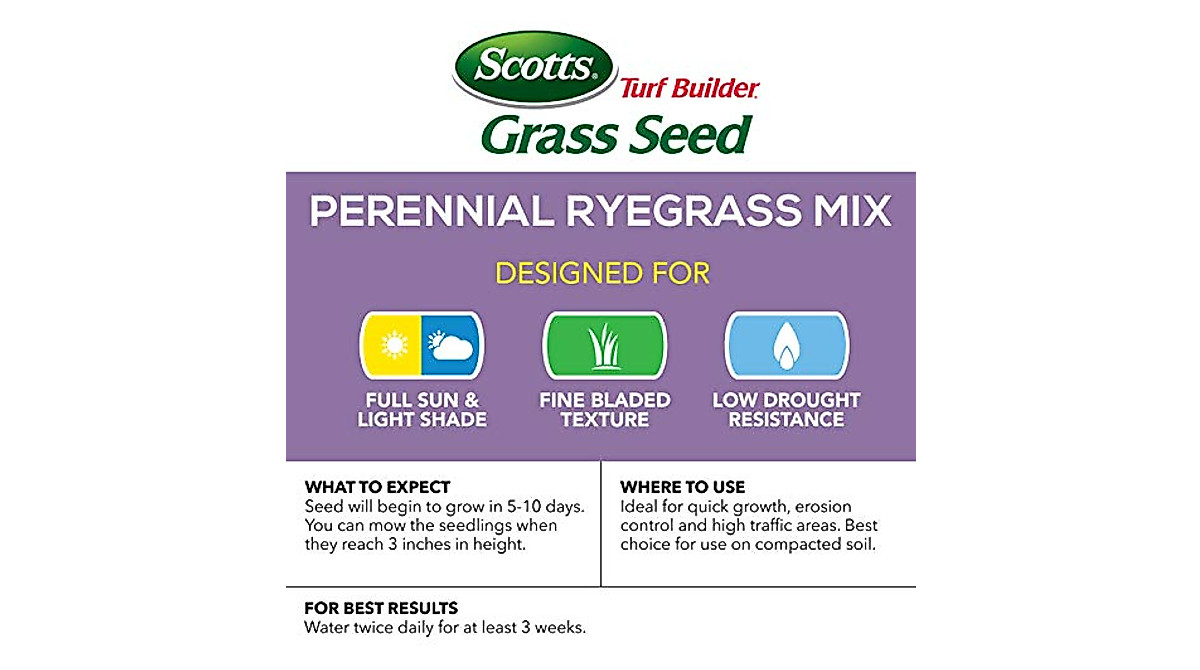 Scotts Perennial Ryegrass Seed: Repair High Traffic & Bare Spots