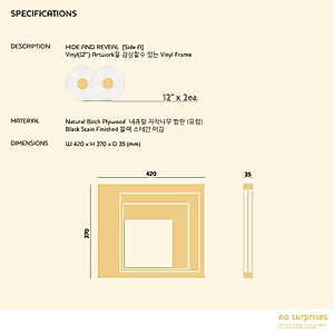 [Side A] Hide and Reveal Vinyl Frame