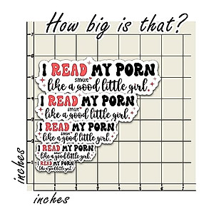 Miraki I Read My Porn Like A Good Little Girl Sticker, Smutty Romance Sticker, Readers Sticker, Water Assitant Die-Cut Vinyl Funny Decals for Laptop, Phone, Water Bottles, Kindle Sticker