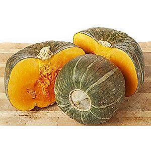 Burgess Buttercup Winter Squash, 25 Heirloom Seeds Per Packet, Non GMO Seeds, Botanical Name: Cucurbita Maxima, Isla's Garden Seeds