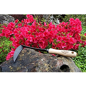 DeWit Right Hand Japanese Hand Hoe, Handheld Gardening Tool to Remove Grass, Weeds, and More