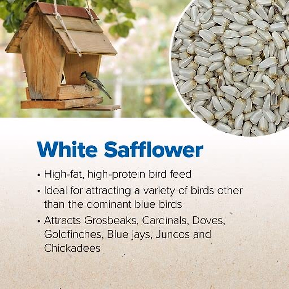 Blue Seal White Safflower Wild Bird Seed | High in Fats and Protein | Attracts Variety of Birds | 4 Pound Bag