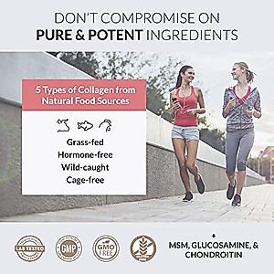 Alaya Multi Collagen Powder - Type I, II, III, V, X Hydrolyzed Collagen Peptides Protein Powder Supplement with MSM + GC (Unflavored)