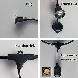 Hudson Lighting Outdoor String Lights - LED - for Patio, Garden, Deck, Backyard, Gazebo - 48 Feet - S14 – 15 Hanging Sockets - E26 Base - 2 Watt