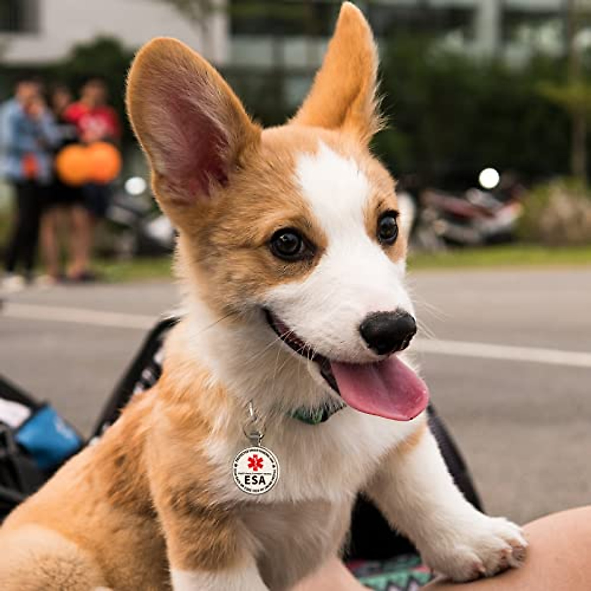 MYLUCKYTAG QR Code ESA Emotional Support Dog ID Tag - Pet Online Profile - Scan QR Receive Instant Pet Location Alert Email