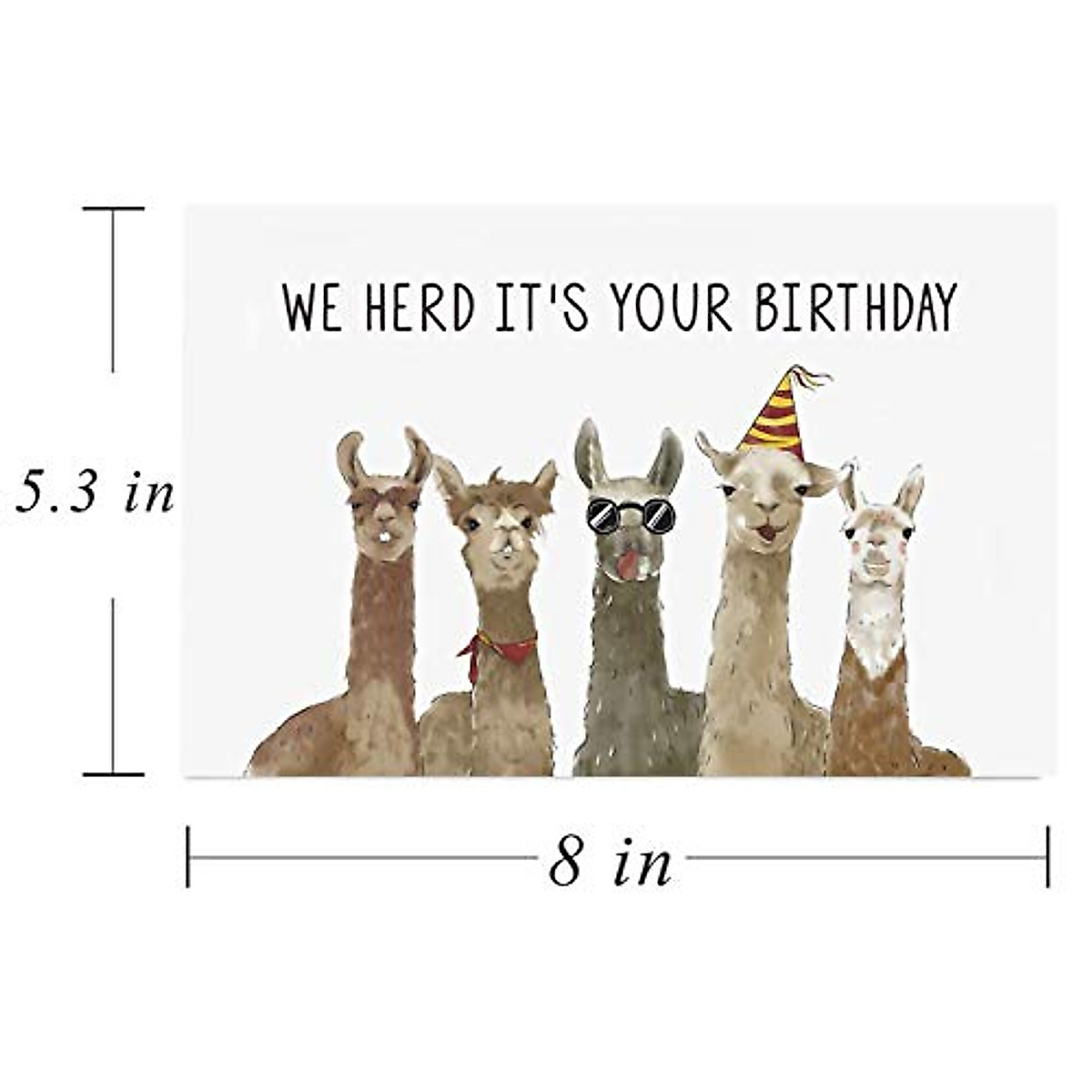Llama Birthday Card,Funny Alpaca Birthday Cards For Friends