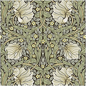 HAOKHOME 94028-1 Vintage Floral Wallpaper Peel and Stick Botanical Sage Green/Yellow Wall Murals Home Kitchen Bedroom Decor by William Morris 17.7in x 6.6ft