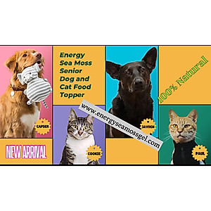 Energy Sea Moss Senior Dogs & Cats Food Topper Powder - Nutrient-Rich, Supports Joint Health, Boosts Energy, Improves Coat - 1 Packet/Day, Box of 12