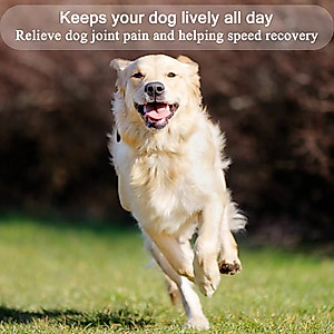 JOCUND Dog Front Leg Brace, Pair of Dog Leg Brace with Metal Strips, Canine Front Leg Hock Wrap Sleeve for Carpal Support, Protects Wounds Brace Heals and Prevents Injuries and Sprains (L/XL)