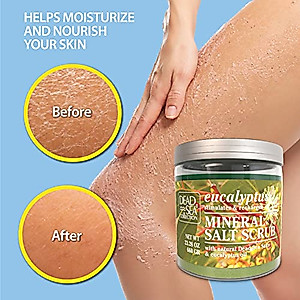 Dead Sea Collection Salt Body Scrub - Large 23.28 OZ - with Eucalyptus - Exfoliating Effect - Includes Organic Essential Oils and Natural Dead Sea Minerals
