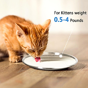 Stainless Steel Cat Dishes for Food and Water Bowls for Kittens and Baby Cats Small Pets Relief of Whisker Fatigue -2 Sets Shallow Style