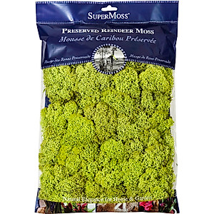 Super Moss 21669 Reindeer Moss Preserved, Chartreuse, 8oz (200 cubic inch)