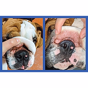 Squishface Wrinkle Paste - Bulldog, French Bulldog, Pug, English Bulldog – Cleans Wrinkles, Tear Stain, Tail Pockets, and Paws – Anti-Itch Tear Stain Remover & Bulldog Wrinkle Cream, 2 Oz.