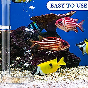 12 pieces Shrimp Feeding Tube and Dish Set, 4 Acrylic Shrimp Feeding Tube Shrimp Feeder Tube 8 Aquarium Shrimp Feeding Dish Clear Bowl Fish Tank Feeding Supplies for Shrimp Betta Tropical Fish, 2 Size