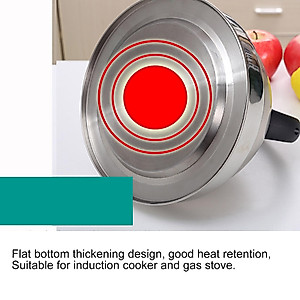 AYNEFY Whistling Tea Kettle, Stainless Steel, Easy to, Suitable for Induction Cooker and Gas Stove, AYNEFY2U6OBNVTI4