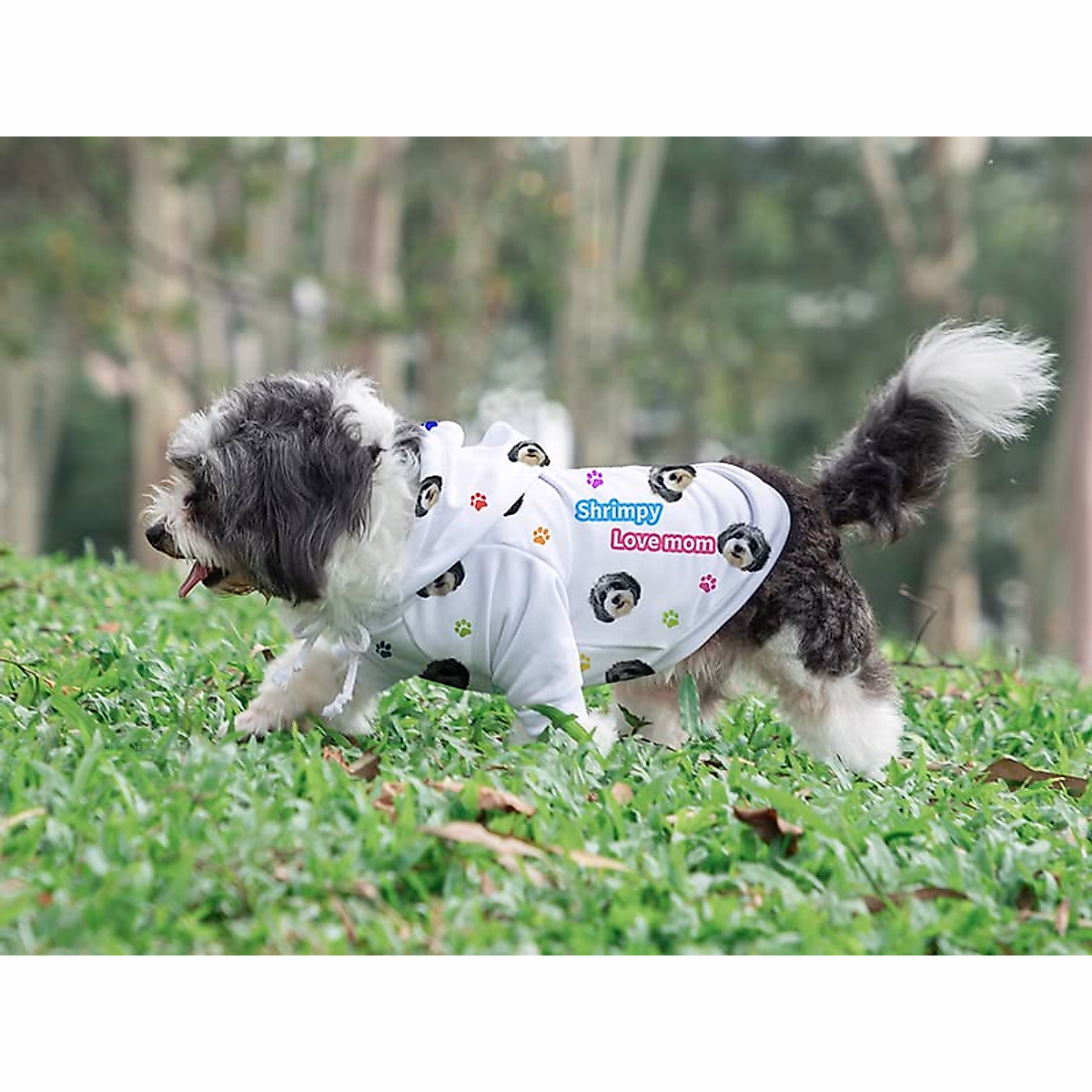 Craft Express Sublimation Blank White Pet Hoodie - Medium, Large, and Extra Large Size Hoodies for Pets Ready to be Personalized - Set of 2 (XX-Large)