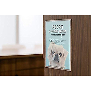Wall Mount Acrylic Sign Holder [Set of 6] with Adhesive! Clear Heavy Duty Sign Holder 8.5 x 11 inches Portrait! or 11 x 8.5 Landscape! Perfect for Home, Office, Store, or Restaurant