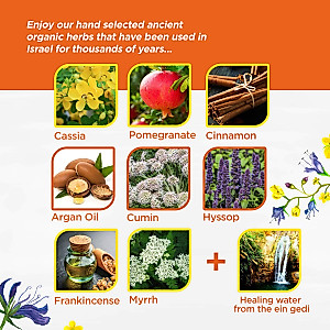 Organic Shampoo and Conditioner Set - My Israel's Miracle - Powerful Organic Haircare Herbs and Argan Oil from Israel