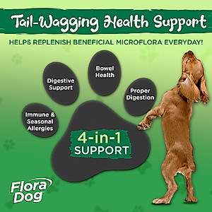 Vital Planet - Flora Dog Probiotic Chewable Tablets Supplement with 20 Billion Cultures and 10 Strains, High Potency Immune and Digestive Support Probiotics for Dogs, 30 Beef Flavored Chewable Tablets