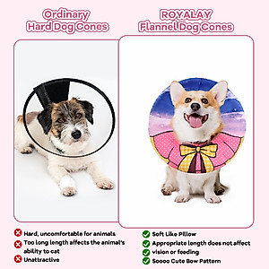 ROYALAY Soft Dog Cone for Pets, Adjustable Dog Collar Comfortable Lightweight Elizabethan Collar for Dogs and Cats, Alternative for After Surgery, Wound Care, Spay, Neuter from Licking Wounds,M