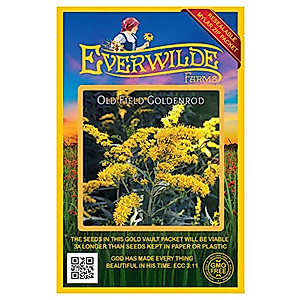 Everwilde Farms - 2000 Old Field Goldenrod Native Wildflower Seeds - Gold Vault Jumbo Seed Packet