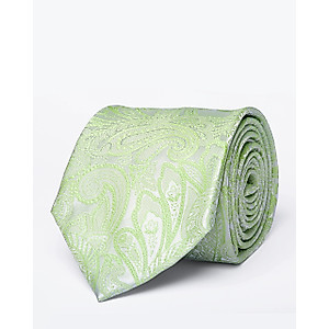 TaecMin Sage Tie Dusty Green Ties for Men Paisley Neckties and Pocket Squares Set for Weddings