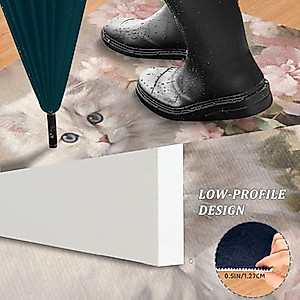 MUKJHOI Welcome Mats 32x20 Inch for Front Door Outdoor Cat (42) Doormat Non-Slip Rubber Mat for Home Indoor Farmhouse Funny Kitchen Rugs Balcony Patio