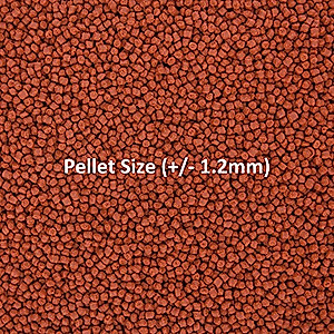 Ocean Nutrition Formula One Pellets 3.5-Ounces (100 Grams) Jar - Small Pellet Size