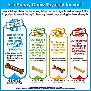 Nylabone Puppy Chew Keys Toy - Puppy Chew Toys for Teething - Puppy Supplies - Bacon Flavor, Small (1 Count)