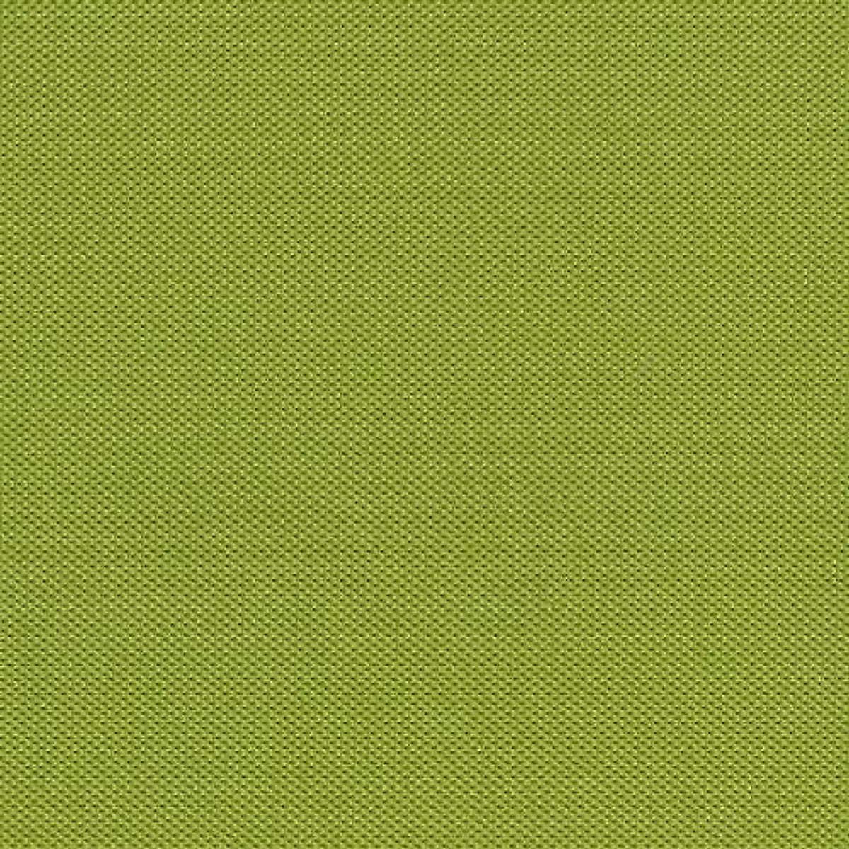 Steelcase Series 1 Office Chair - Ergonomic Work Chair with Wheels for Carpet - Helps Support Productivity - Weight-Activated Controls, Back Supports & Arm Support - Easy Assembly - Wasabi