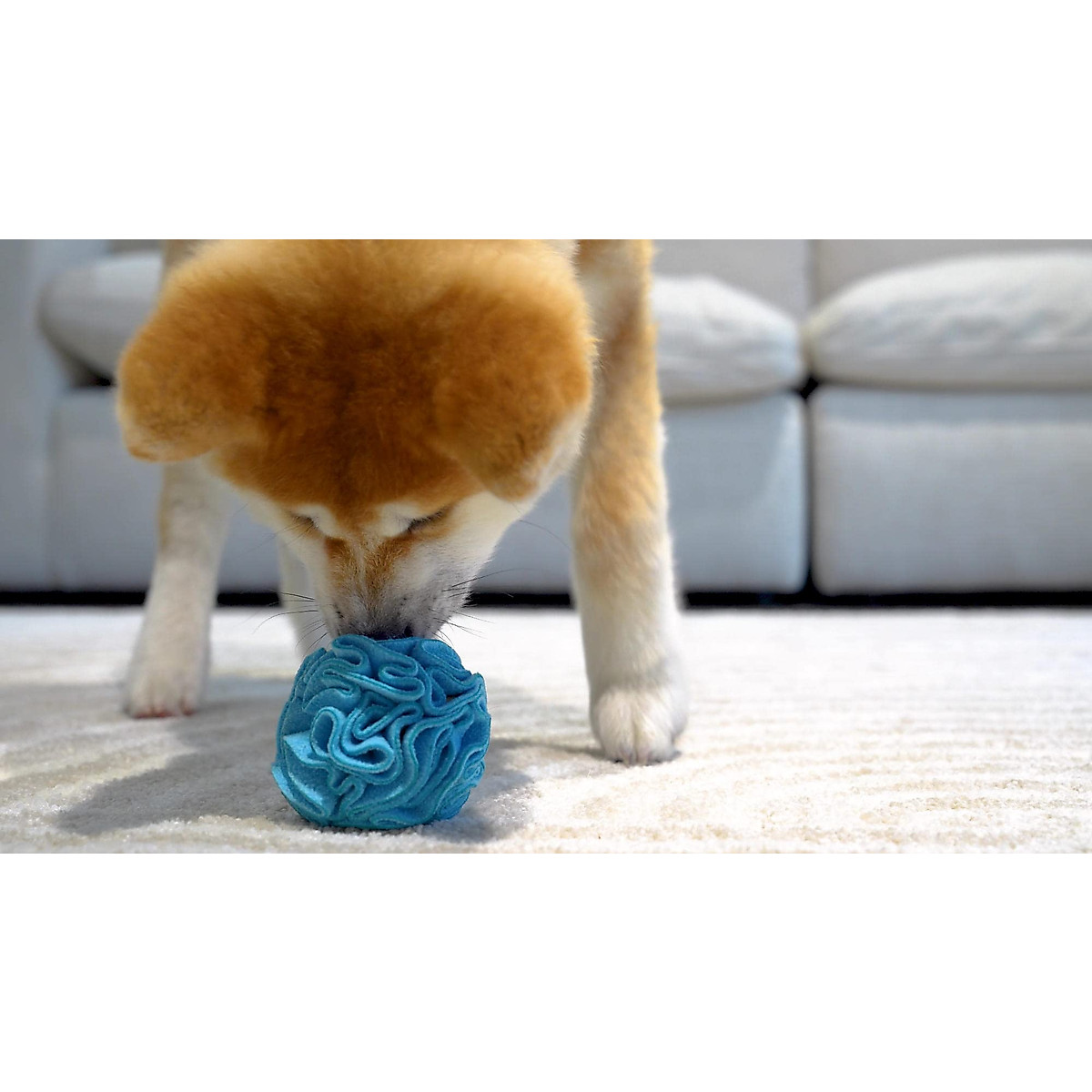 Glory To Dog Puppy and Small Breed Snuffle Interactive Foraging Dog Puzzle Ball Toy Blue
