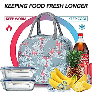 TELLUMO Lunch bag, Insulated Lunch Bag for Women Men Small Lunch Box Container Reusable Leakproof Tote for Office, Work, School, Beach or Travel (Flamingo)