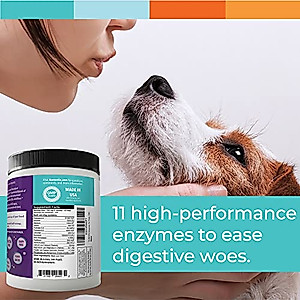 Enzymes for Dogs & Cats - Enzyme Miracle - Systemic & Digestive Enzyme Formula - Powder - 364 Servings - Vegetarian