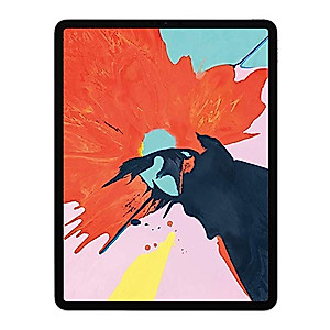 iPad Pro3 12.9in 512GB Gray 4G