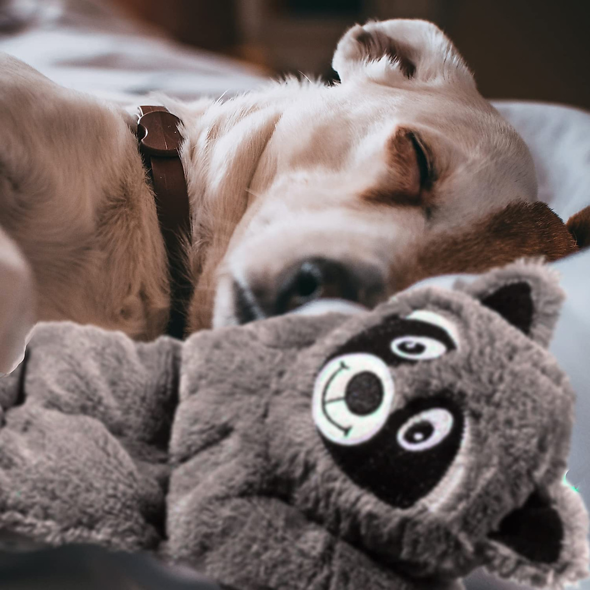 Jalousie 5 Pack 12'' Dog Toys Assortment Value Bundle Dog Plush Toys Dog Squeak Toys12 Inch Each Dog Squeaky Toys Assortment for Medium to Large Breeds - Include Raccoon Elk Hippo Fox Sloth